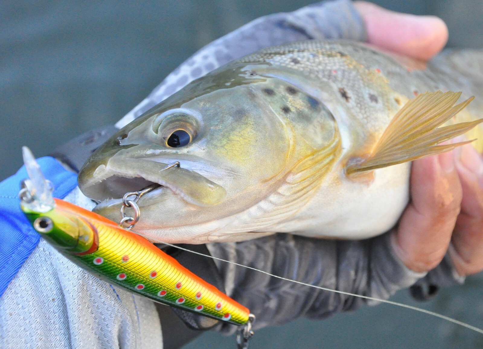 Fishing Lure, Dynamic Lures J-SPEC (Brook Trout) Jerkbait, Crankbait | eBay