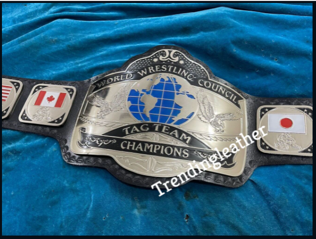 Wcw Cruiserweight Tag Team Championship