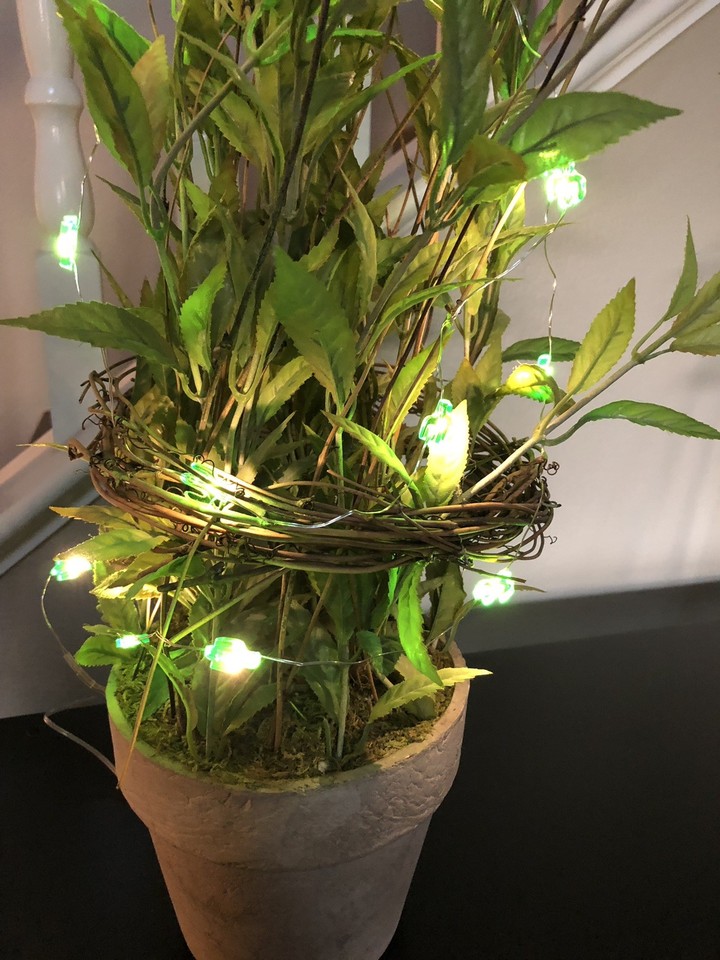 Mini Green Cactus Wire Lights LED Battery Power Fairy Craft Wedding ...