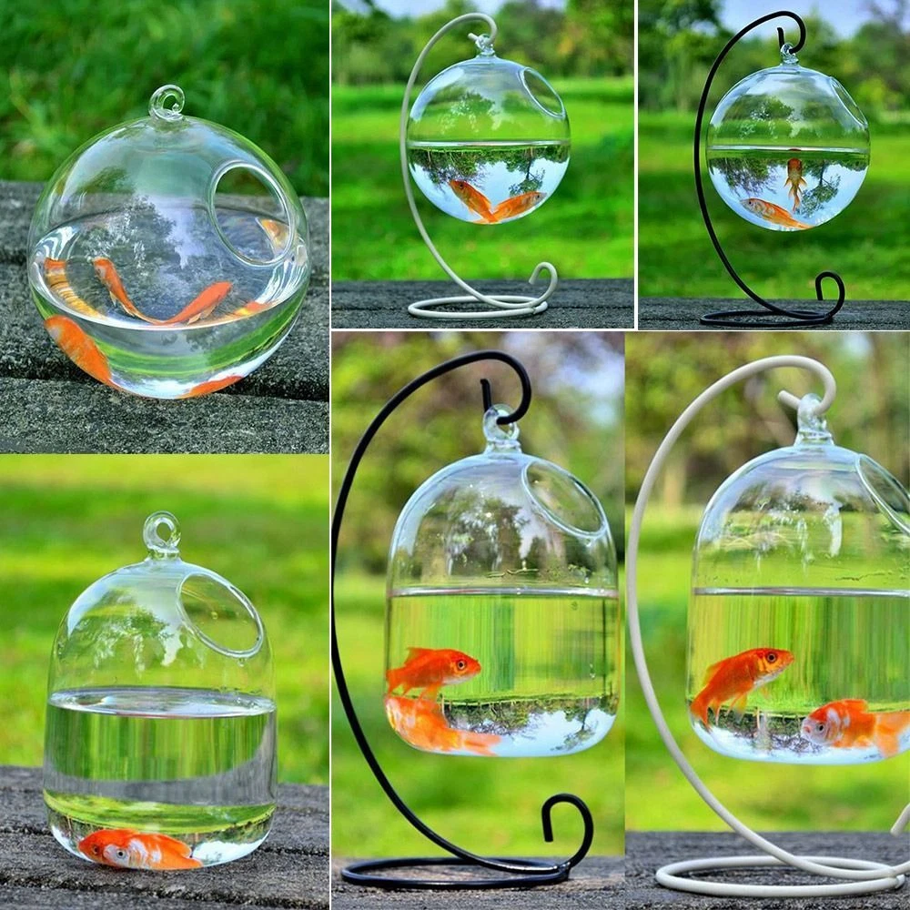 Glass Fish Bowl With Water