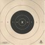 Official NRA B-8 [B8] 25-Yard Timed & Rapid Fire Pistol, 2 Targets & 30 ...