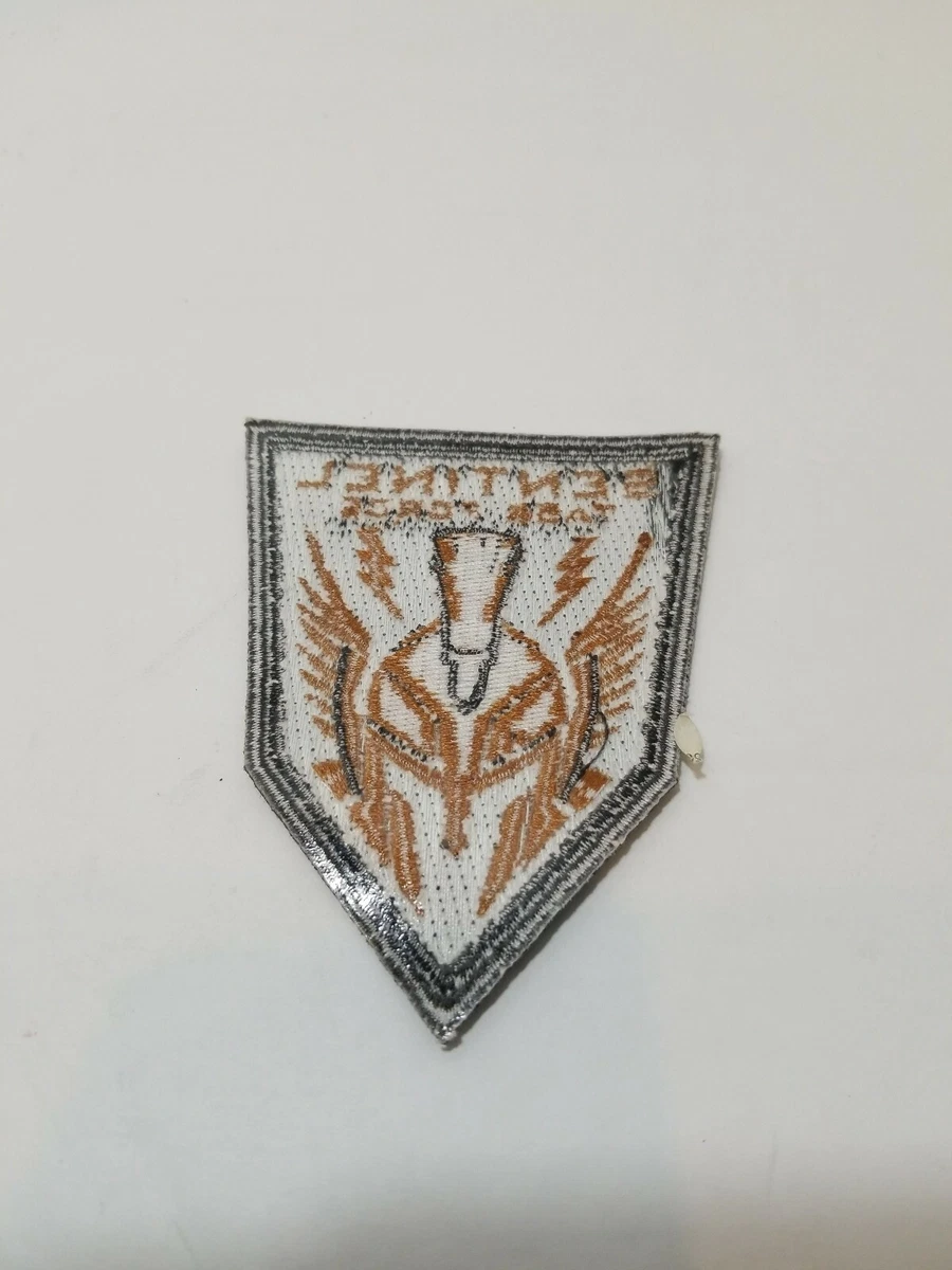 Call Of Duty Advanced Warfare Sentinel Patch
