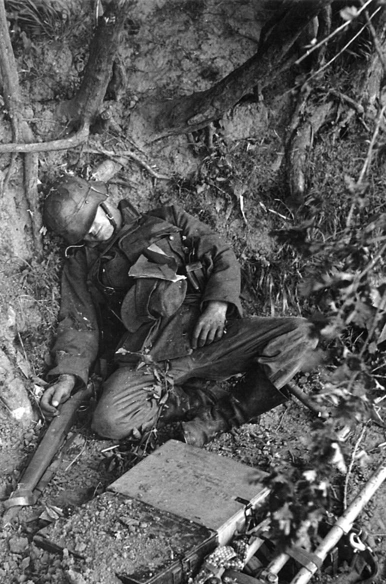 WW2 WWII Photo German Soldier Casualty D-Day Normandy France World War Two /1286 | eBay