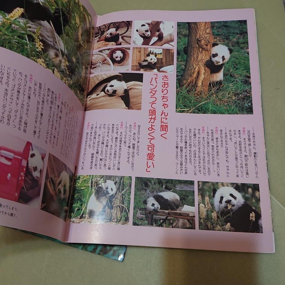 Panda's Hometown Panda Story Movie Brochure Set of 2 | eBay