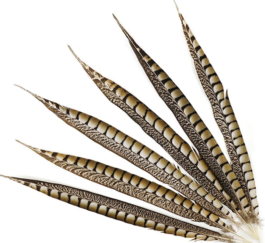 LADY AMHERST PHEASANT Feathers 4-40 Inches ALL TYPES Craft/Bridal ...