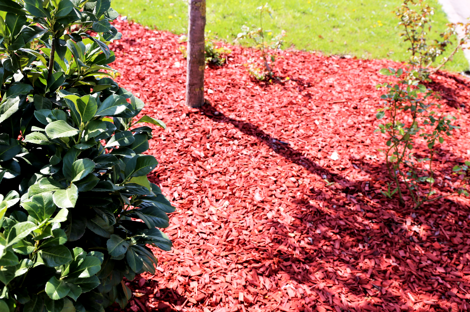 Red Bark For Landscaping Premium Red Mulch | Benefits, How To Use,