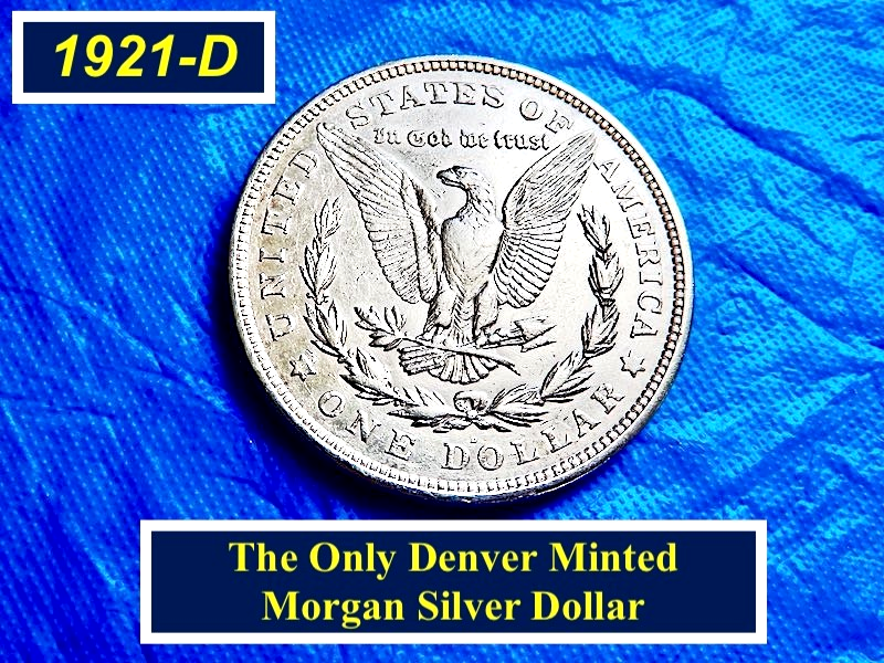 1921-D Morgan Dollar Only Denver Mint Morgan Circulated as Pictured ...