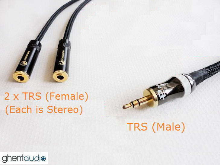 D04 (1.5m 5ft)---3.5mm TRS Stereo Male to Dual Female Splitting HIFI ...