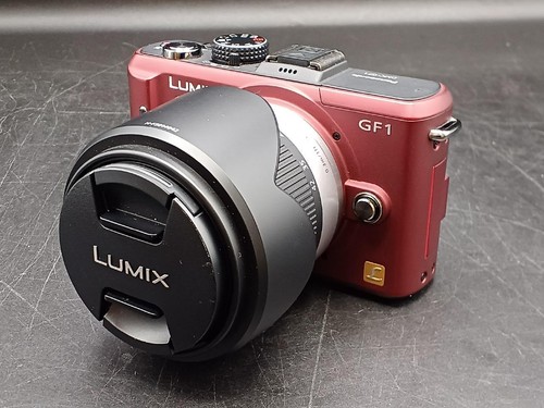 Panasonic Dmc-Gf1 Mirrorless Single Lens Camera | eBay