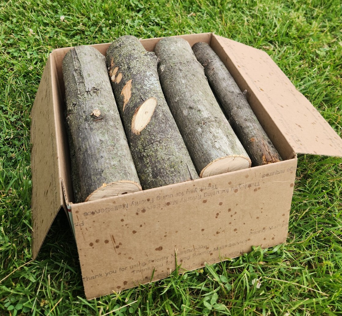 Rough Cut All Natural Hickory Wood Logs BBQ/GRILLING/SMOKING/CRAFTS 15 ...