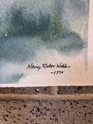 Nancy Ricker Webb SC Artist Original Watercolor High Thievery Seagull ...