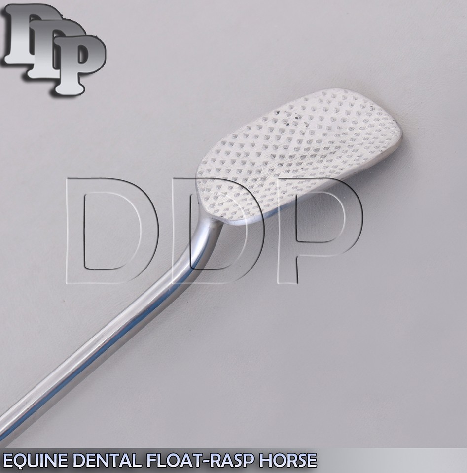 EQUINE DENTAL FLOAT-RASP HORSE VETERINARY-DDP-002 | eBay