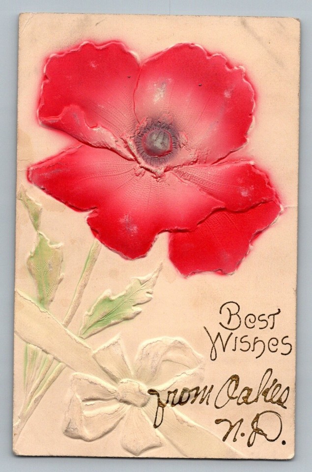 Englevale North Dakota ND Ransom County 1909 CDS REC'D Cancel Postcard ...