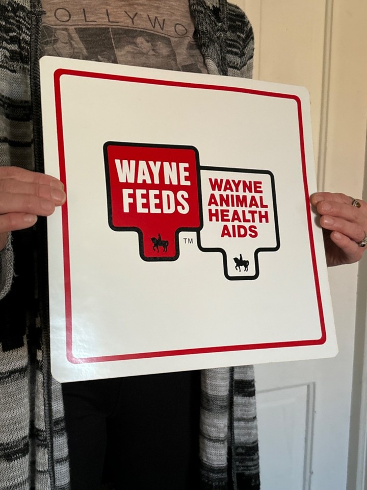 Jumbo NOS Vtg Wayne Feeds Logo Advertising Decal Farm Sticker Sign | eBay