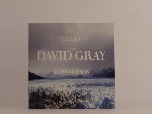 DAVID GRAY LIFE IN SLOW MOTION NO CASE Best Prices on eBay | eBay UK