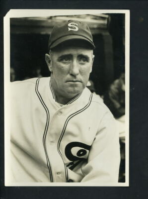 Donie Bush circa 1931 Official American League Press Photo Chicago ...