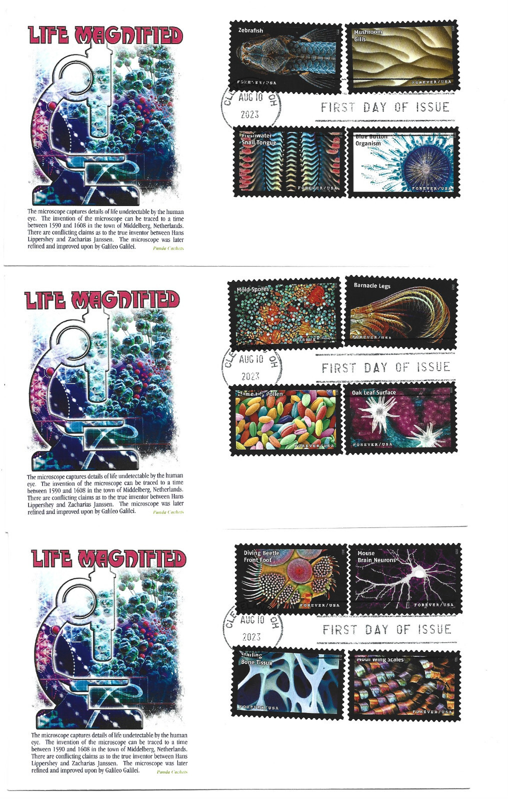 5802 Life Magnified set of 20 on 5 Panda Cachets FDCs | eBay