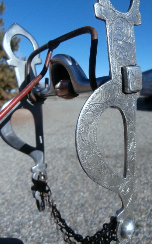 Vintage Engraved Sterling Silver Overlay Horse Show Bit w/ 3 Lip Chains ...