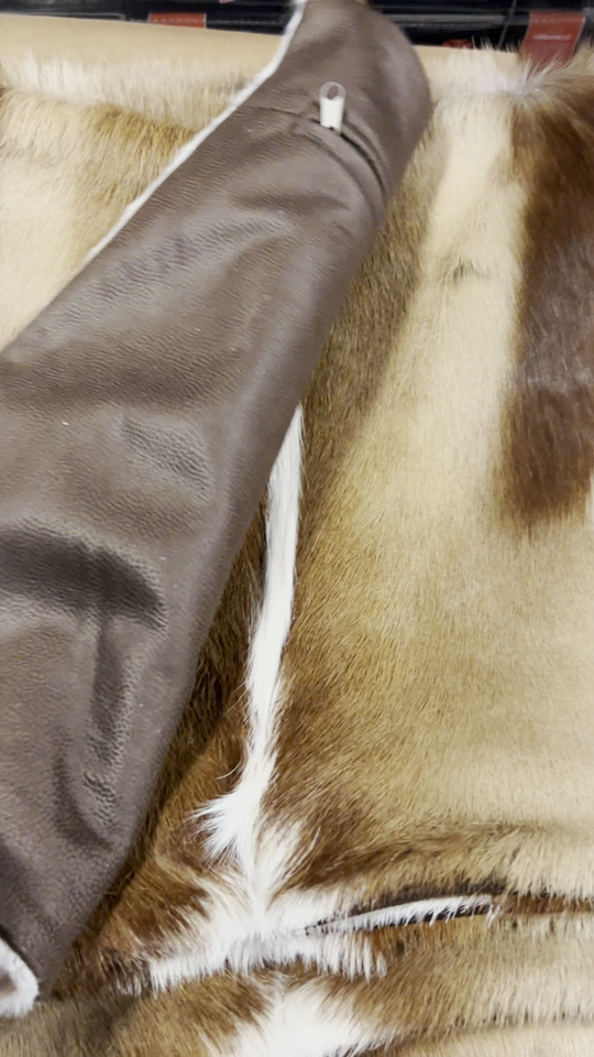 Springbok Skin Pillow Case Size: 17x17" African Springbok Hide Cushion ...