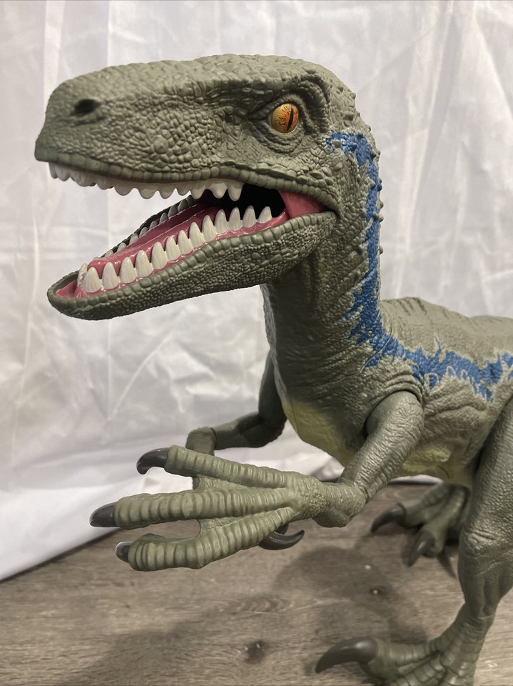 Jurassic World Super Colossal Velociraptor Raptor Blue Action Figure ...