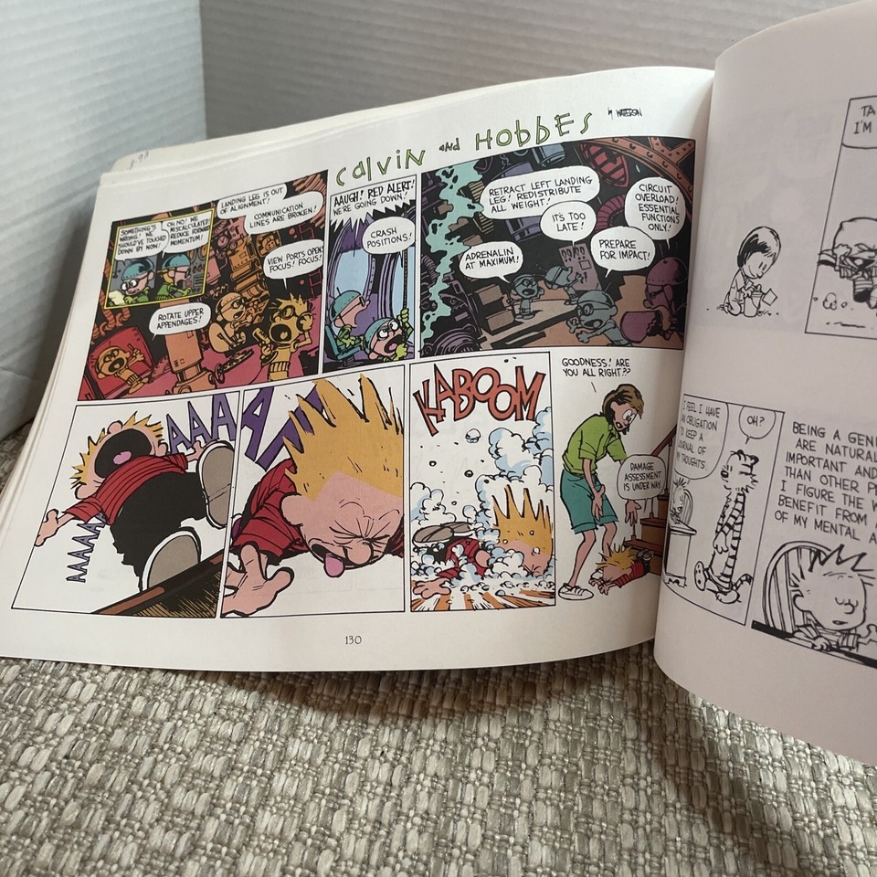 The Days Are Just Packed Calvin and Hobbes Collection Bill Watterson ...