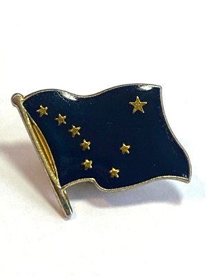 VINTAGE ALASKA STATE FLAG PIN ENAMEL BIG DIPPER & NORTHERN STAR | eBay