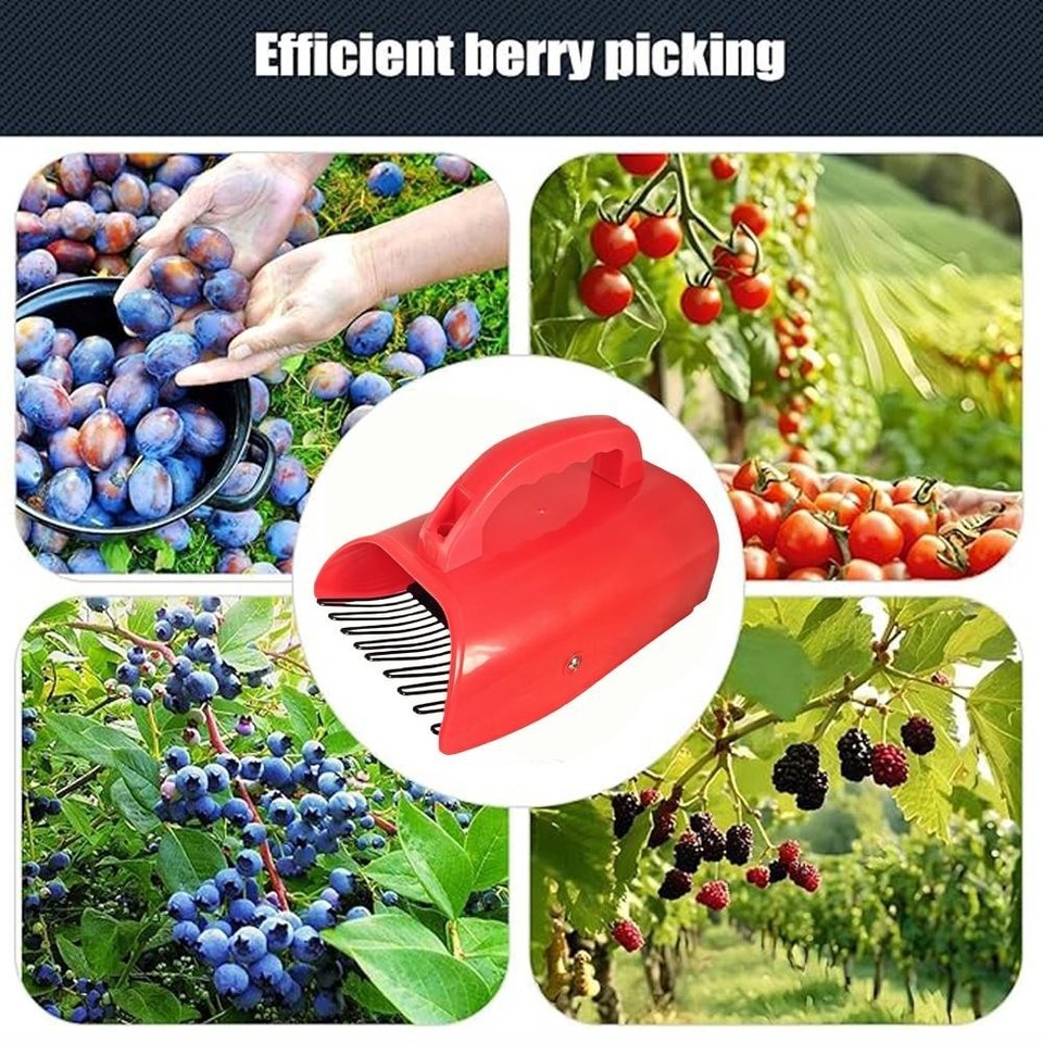 Berry Pickers Metal Comb Rakes Garden Blueberry Picking op o Picker Sc ...