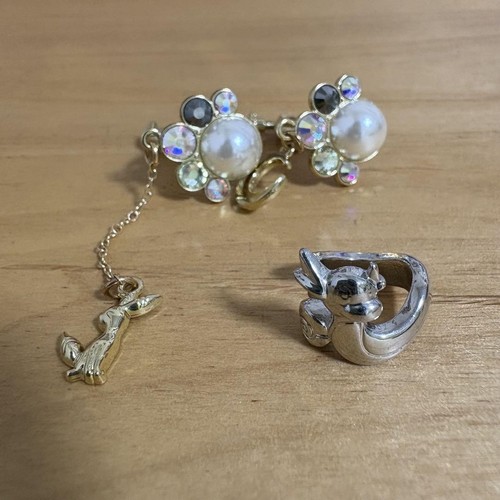 Pokemon Blacky Earrings Mini Ryu Ear Cuffs Bulk Sale | eBay