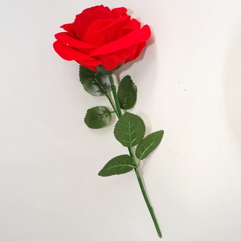 Unique Rose Display Box Proposal Holder Floral Engagement Box | eBay