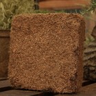 Coconut Coir Powder 100% Organic Coco Husk Dust Plant Growing Fiber Eco ...