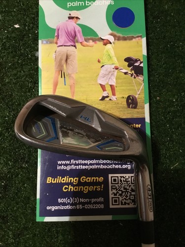 Wilson Ladies Profile HL 431 SS Sand Wedge SW Graphite Shaft | eBay