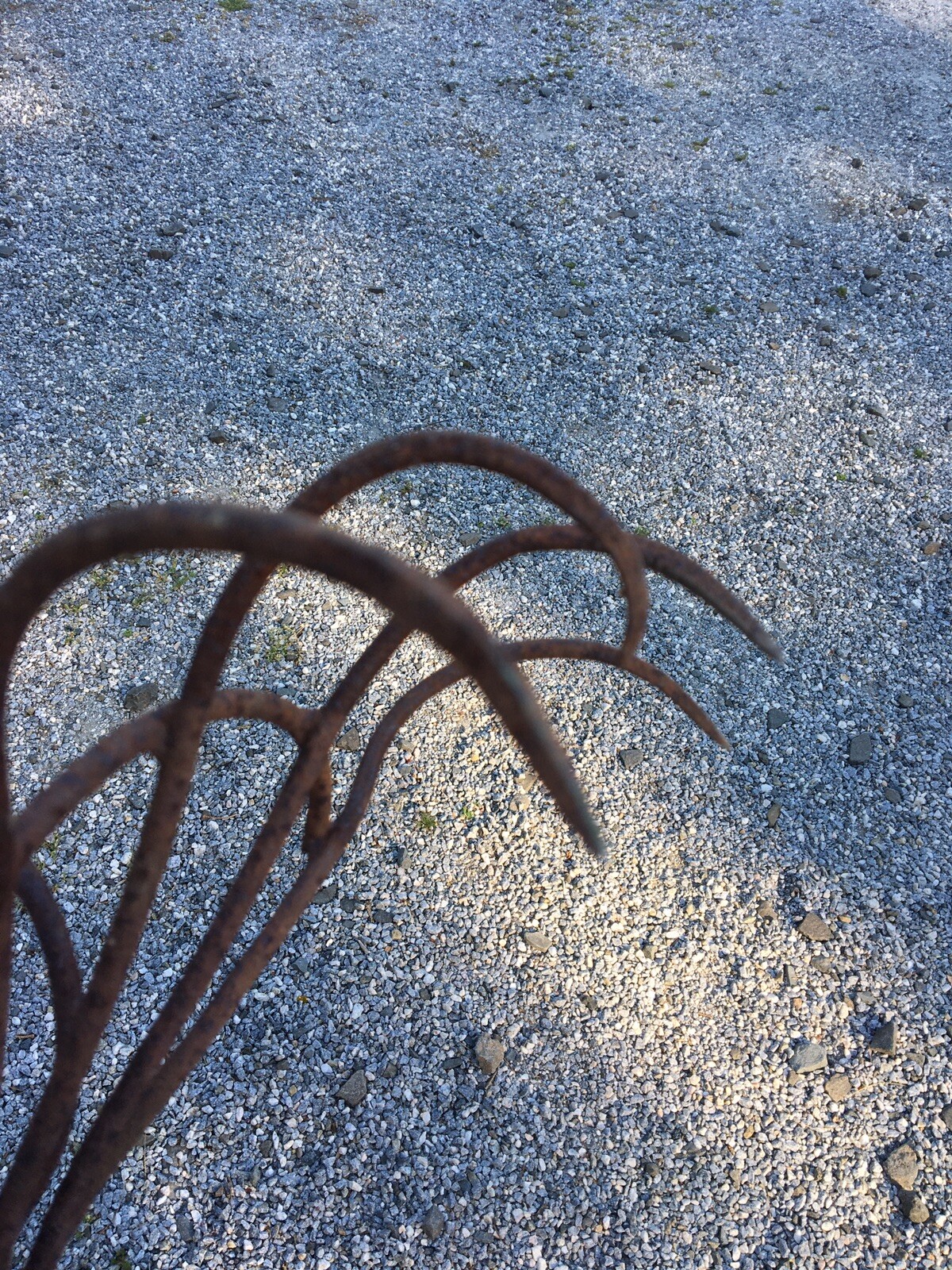 Antique Clam Rake New Haven Connecticut Shellfish Oyster Blacksmith 8 ...