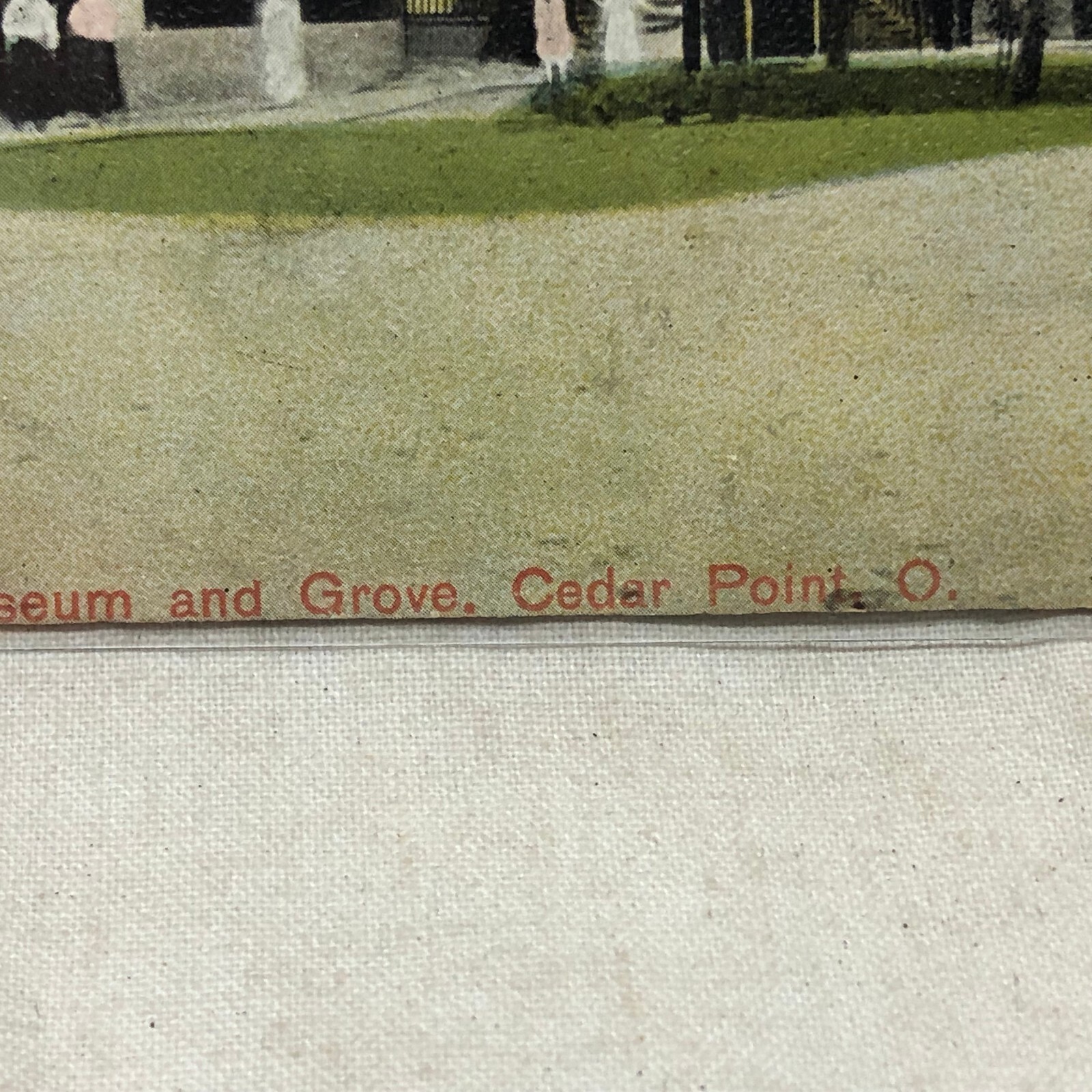 Vintage 1907 Cedar Point Ohio Postcard Coliseum & Grove | eBay