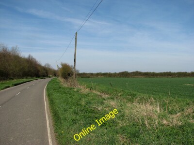 Photo 12x8 High Ditch Road Teversham The line of trees and bushes on ...