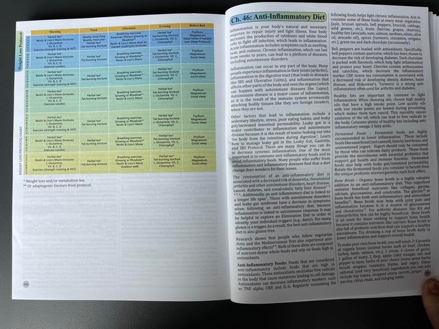 The Holistic Guide to Wellness : Herbal Protocols for Common Ailments ...