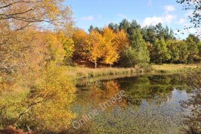 Photo 6x4 Lochan near Ardclach Ferness c2010 | eBay UK