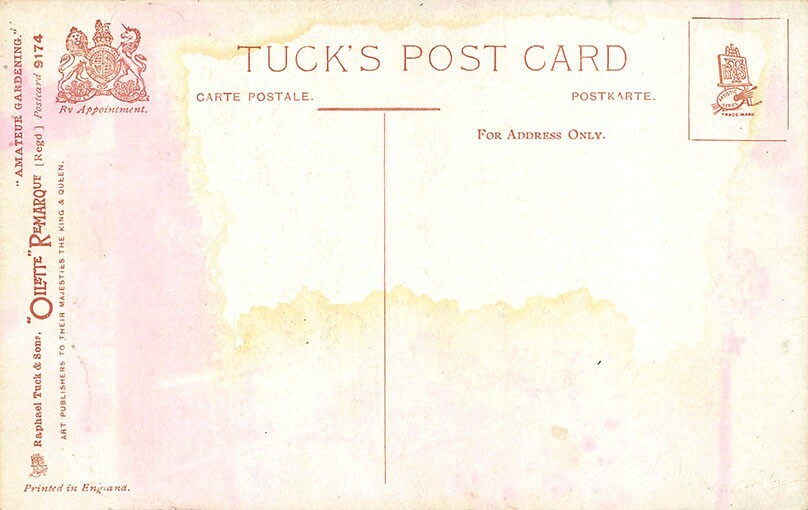 Raphael Tuck "Amateur Gardening" Peached Artist Lance Thackeray Postcard | eBay