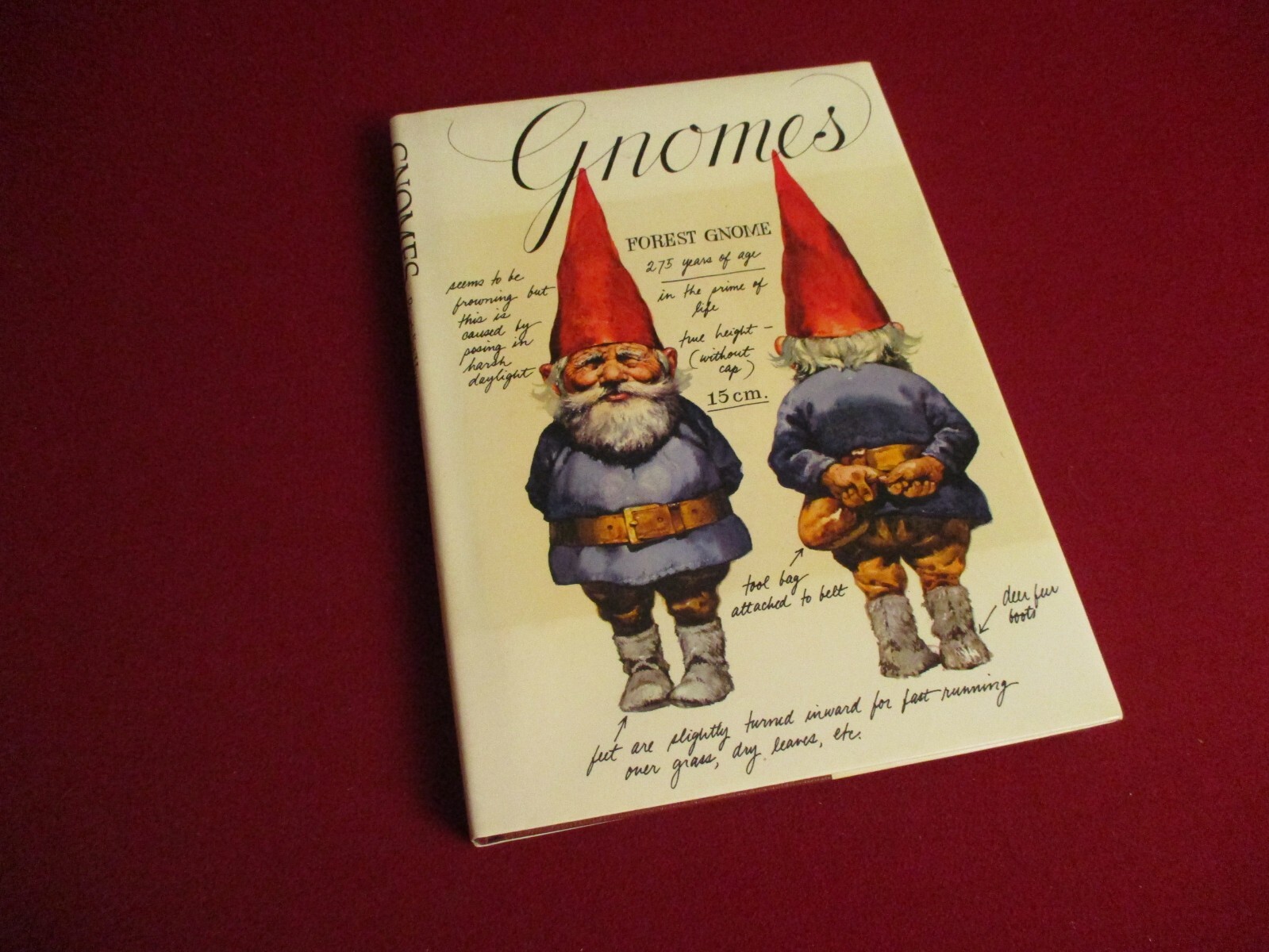 Gnomes by Wil Huygen and Rien Poortvliet (1977) Large Hardcover Book | eBay