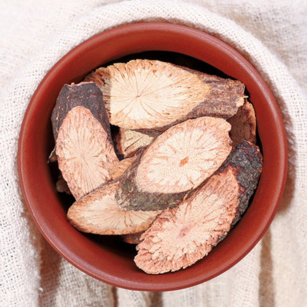 Chinese Fleeceflower