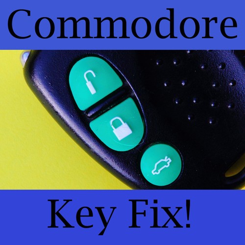 Holden Commodore Key Buttons VS VT VX VY VZ Green Set | eBay