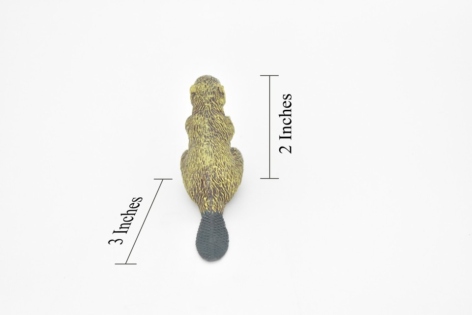 Beaver Toy, Castor, Realistic Rubber Replica Hand Painted Gift, 3 ...