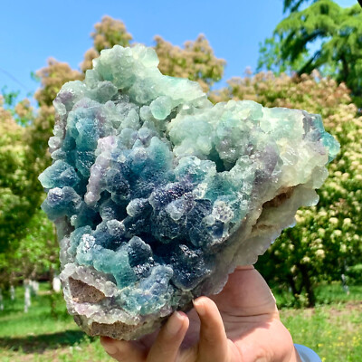 6.16LB Rare transparent green cubic fluorite mineral crystal sample ...