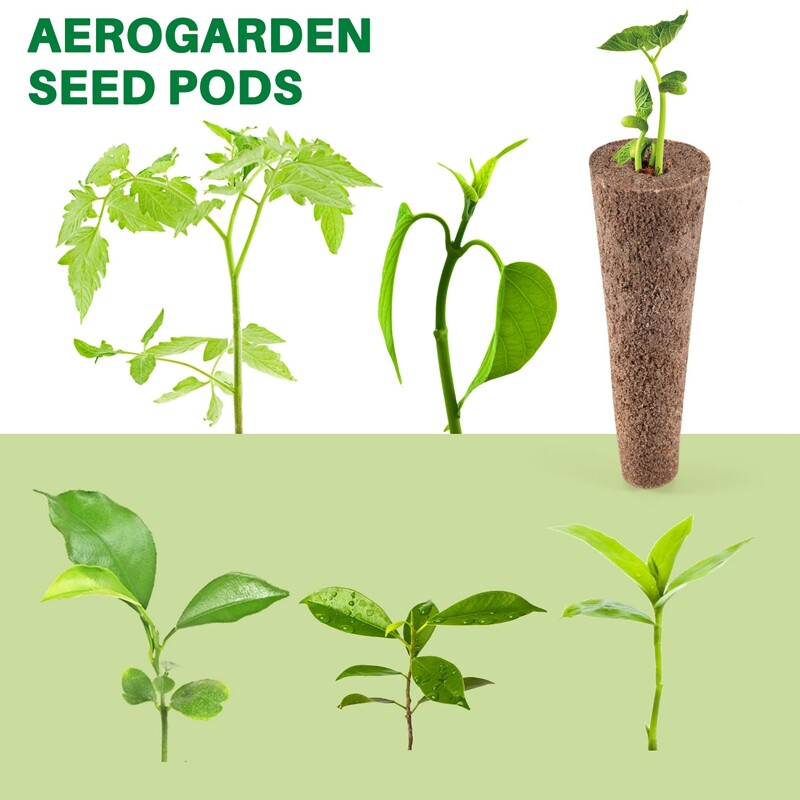 50 Pack Grow Sponges, Seed Pods Replacement Root , Refill Pods for8552 ...