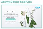 ATOMY Derma Real Cica Skin Care Cream Ampoule Toner Gel Cleanser K ...