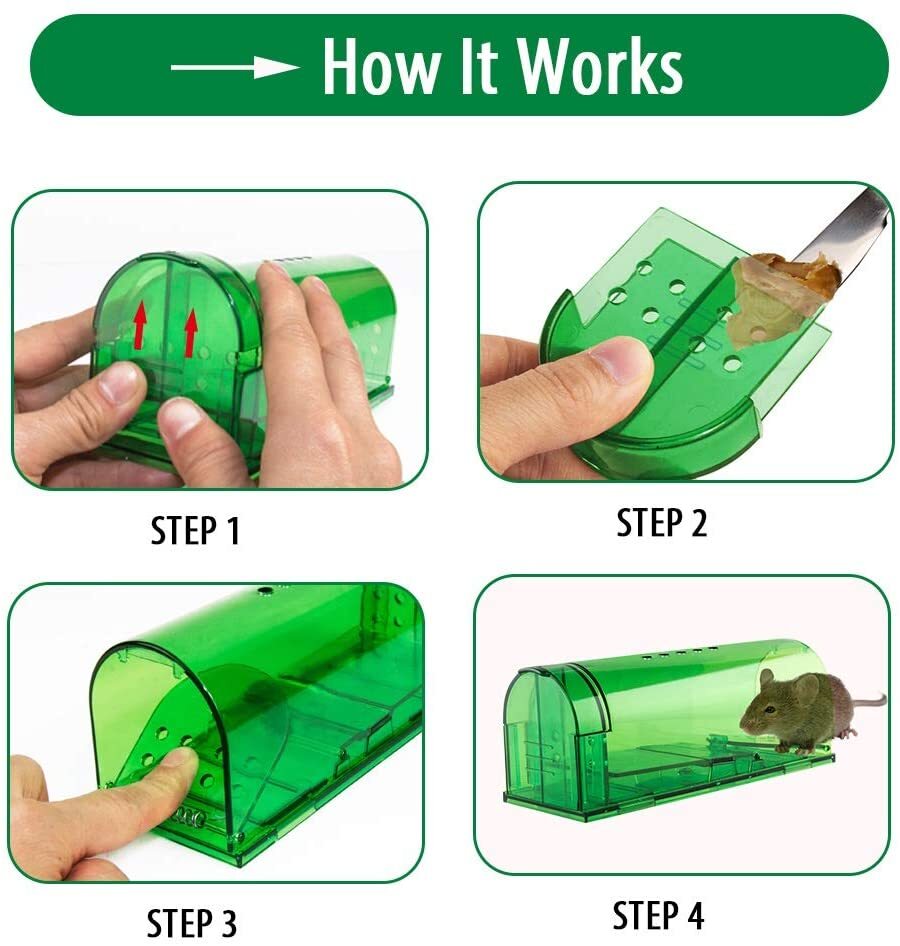 6x Humane Mouse Traps No Kill, Release Mouse Trap Reusable Mice Trap ...