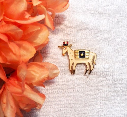 DEMOCRATIC PARTY LAPEL PIN ELECTION DONKEY VOTE LIBERAL PROGRESSIVE ...