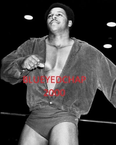 BUTCH REED WRESTLER 8 X 10 WRESTLING PHOTO NWA | eBay