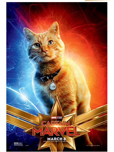 Marvel Studios' Captain Marvel Goose Poster 27x40 single sided | eBay