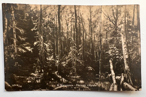 1900s Landscape Shishkin Backwoods Forest Nature Vintage postcards | eBay