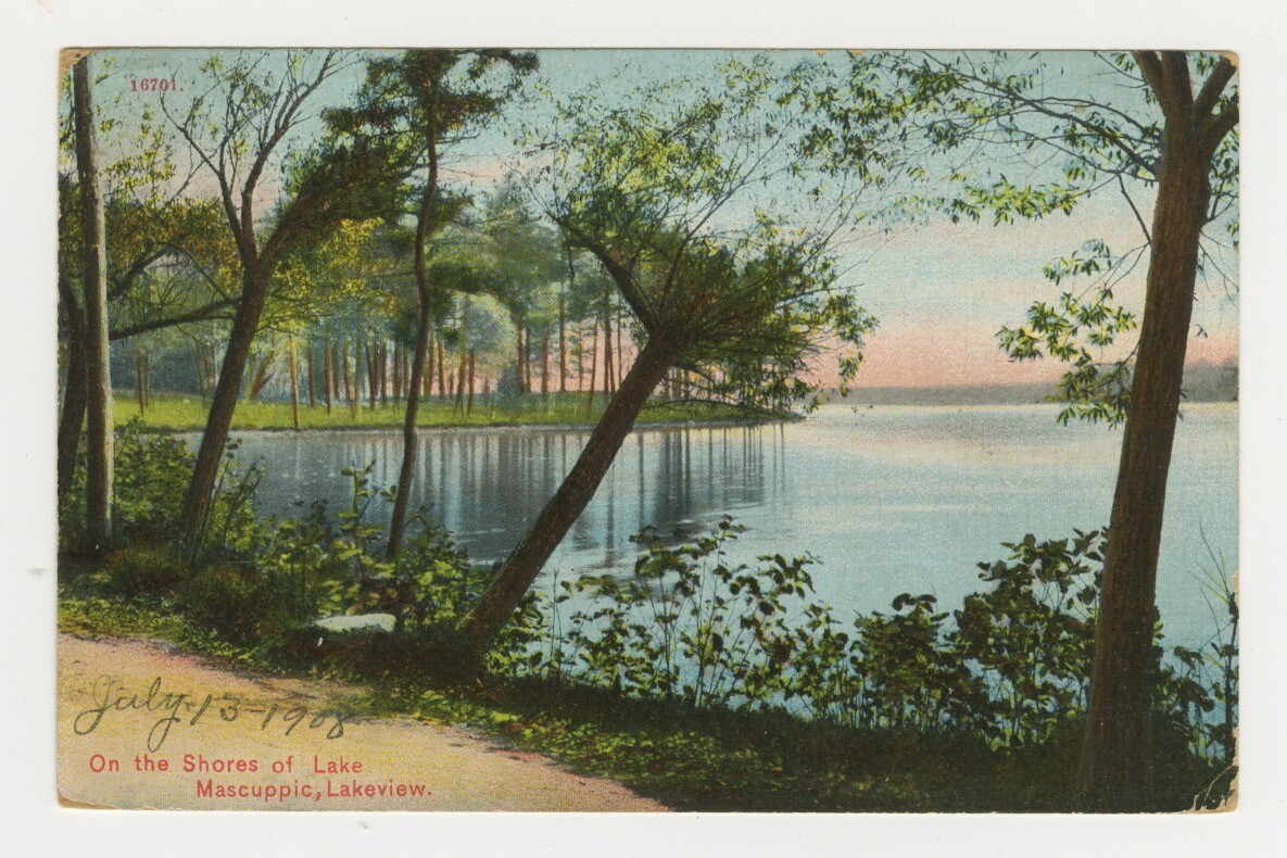 MA Postcard On The Shores Of Lake Mascuppic Lakeview - Massachusetts ...